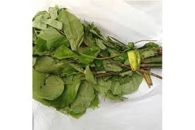 Fresh Oha leaves (Bunch) – TJ AND JJ FOODS