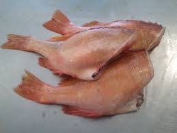 Headless Red Bream Fish – TJ AND JJ FOODS